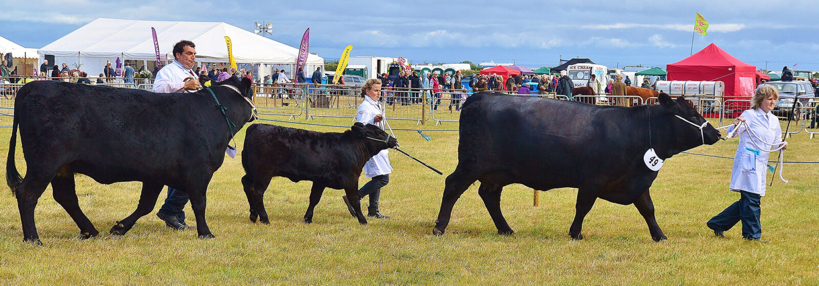 Dunster Show Society - Dunster Show