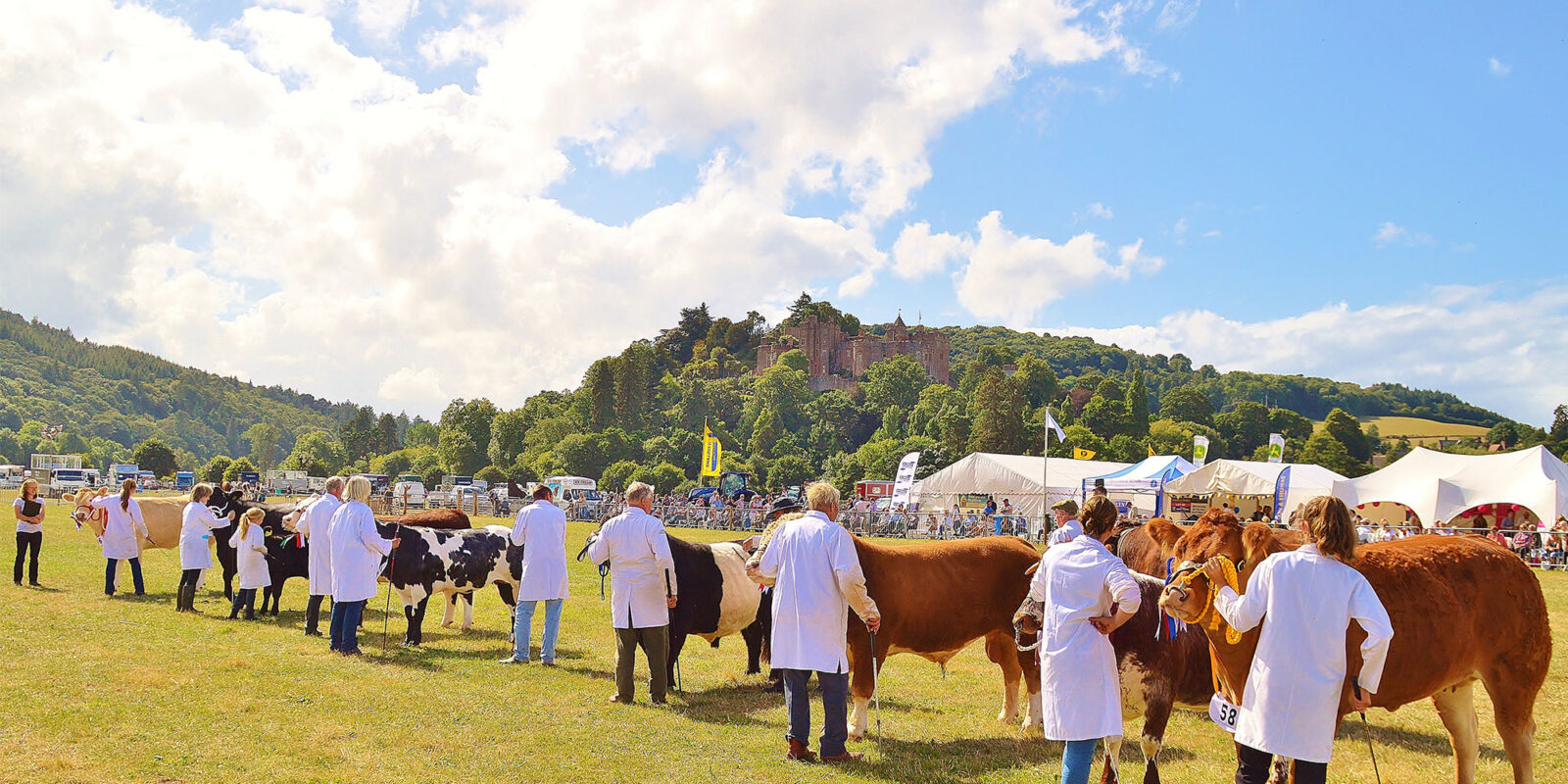 Gallery Archive - Dunster Show - Friday 21st August 2026