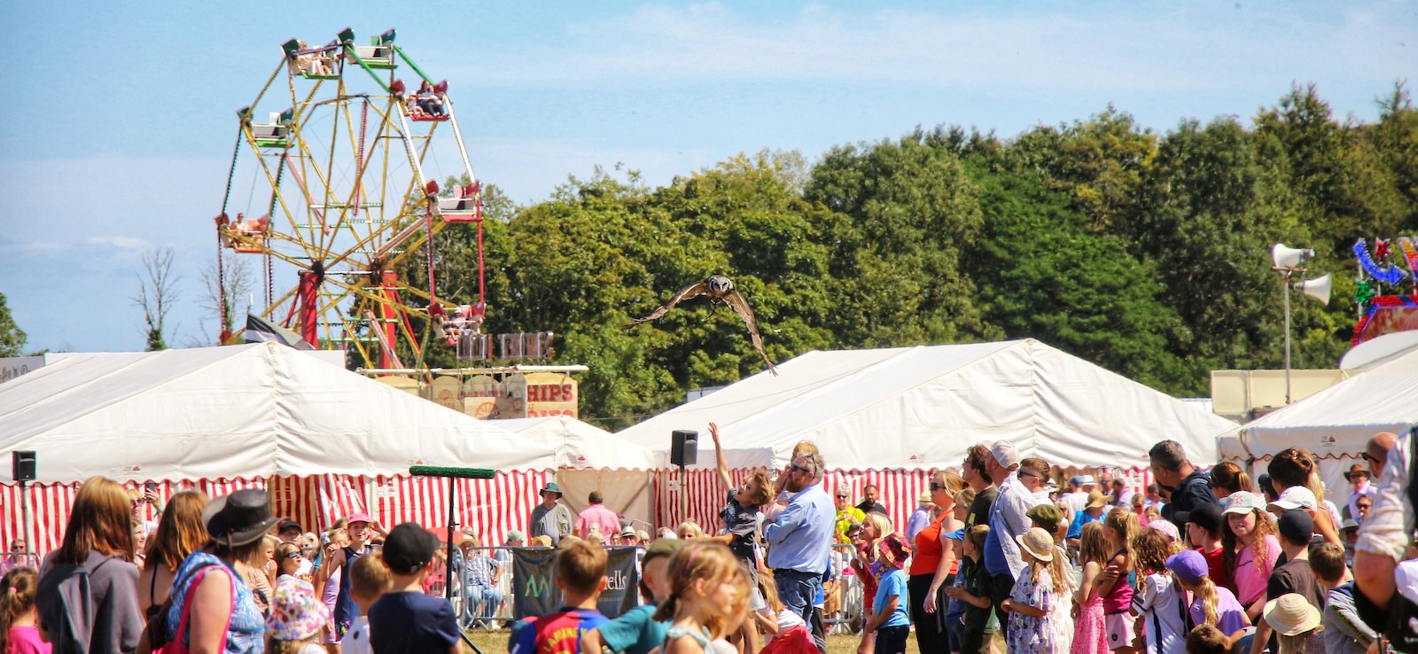 Contact - Dunster Show - Friday 21st August 2026