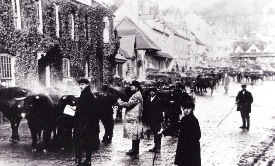 Dunster Show Society - Dunster Show