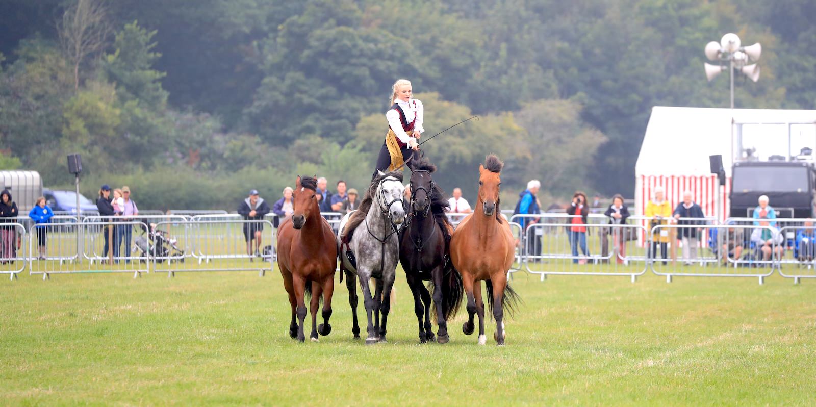 Entertainment - Dunster Show