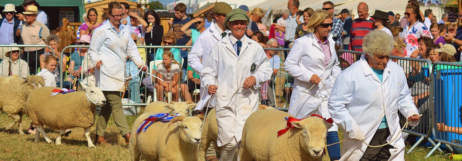 Ticket Information - Dunster Show - Friday 21st August 2026